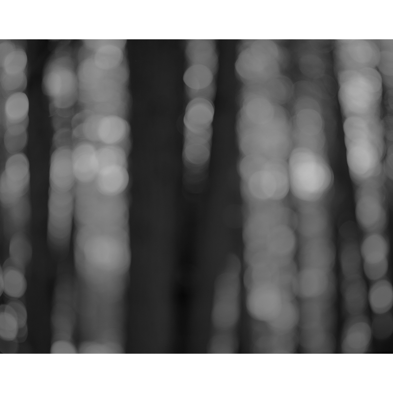 Photographs - Bill Jacobson